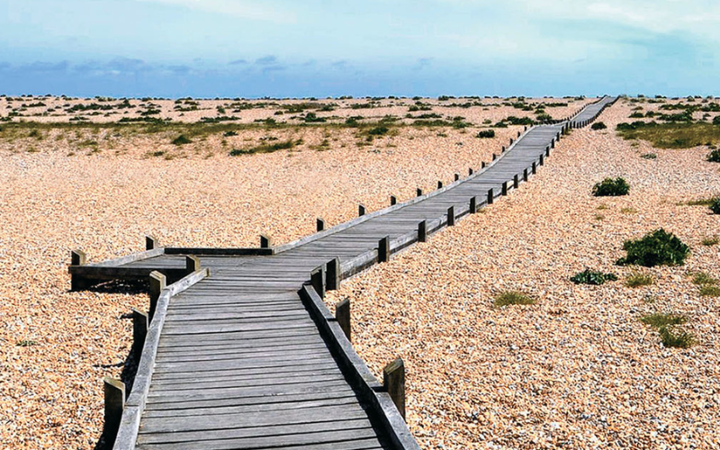 Britain's only desert! Let's safari in Dungeness